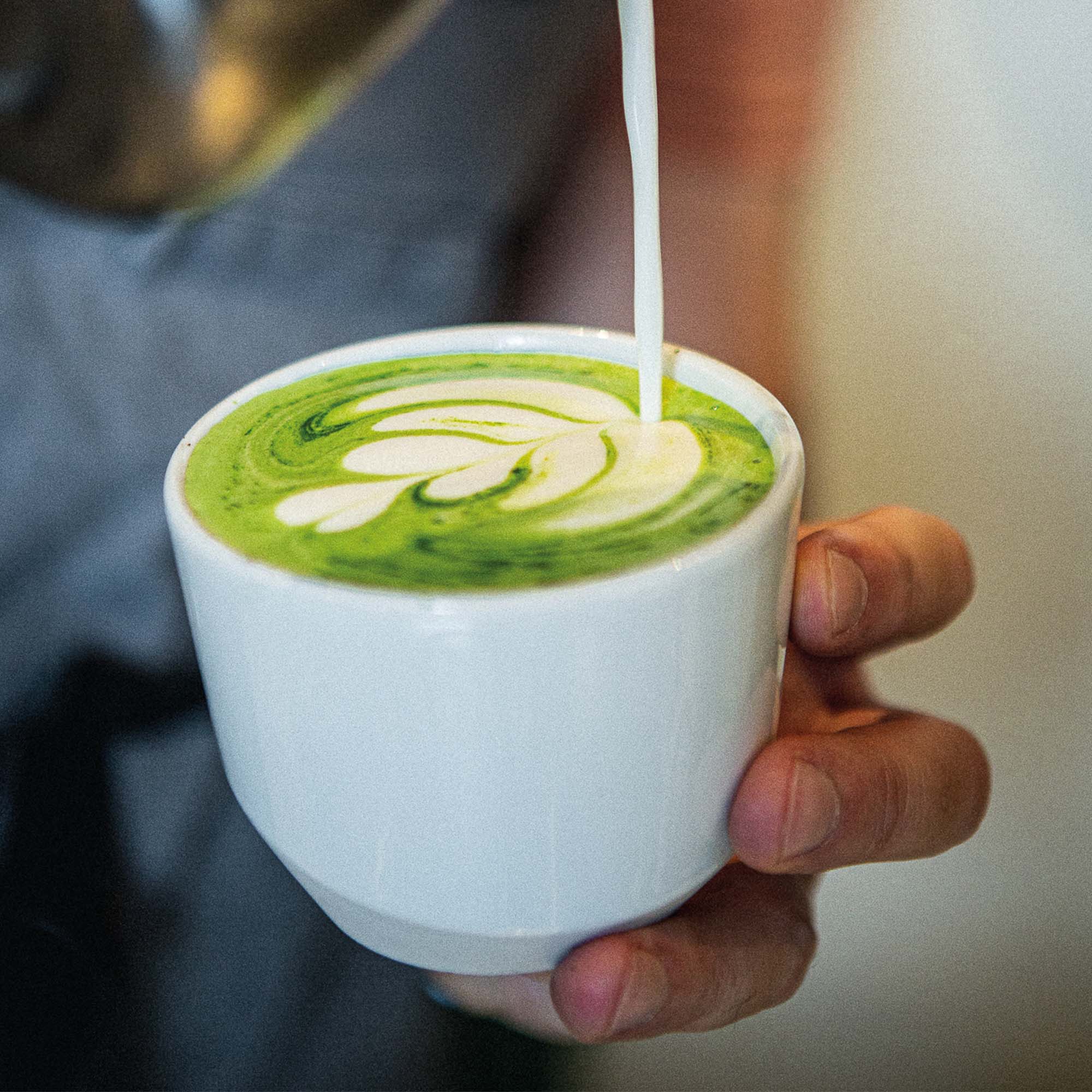 MODEST MATCHA - Organic matchapulver | J&N – Johan & Nyström